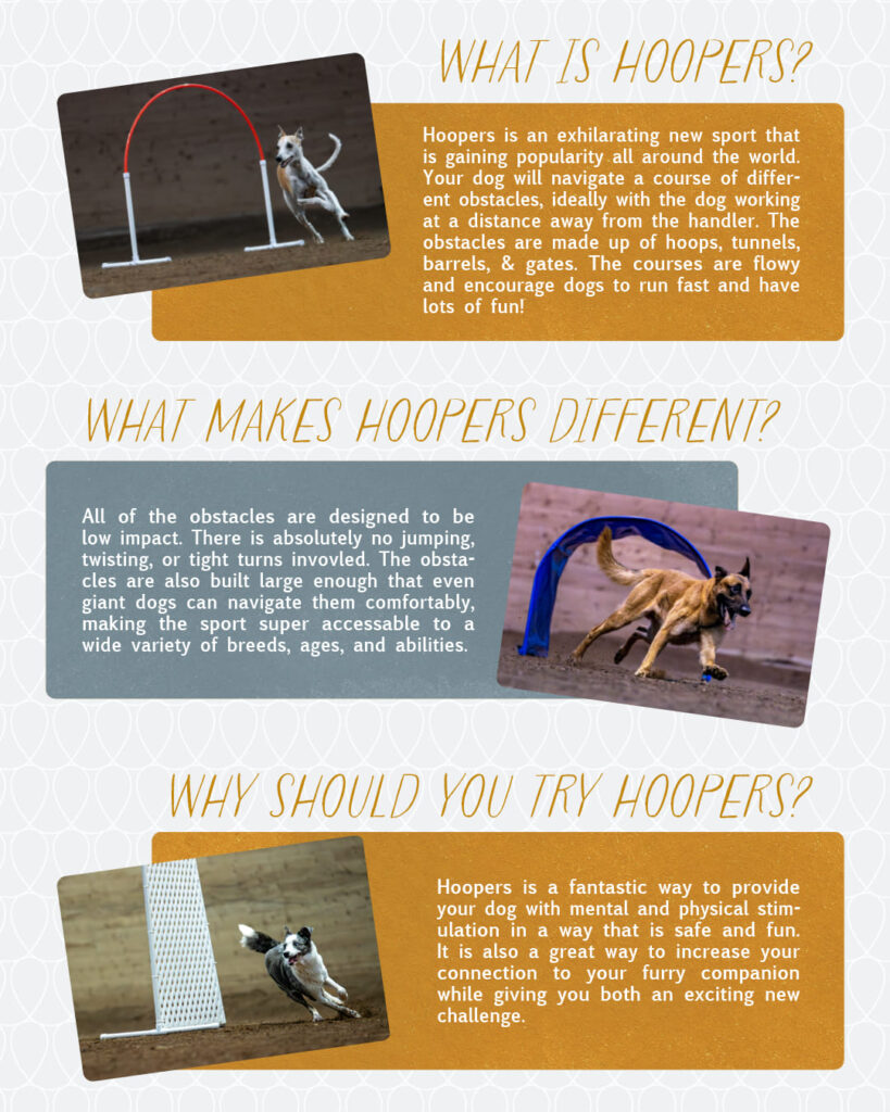 Hoopers - Nova Dogsport